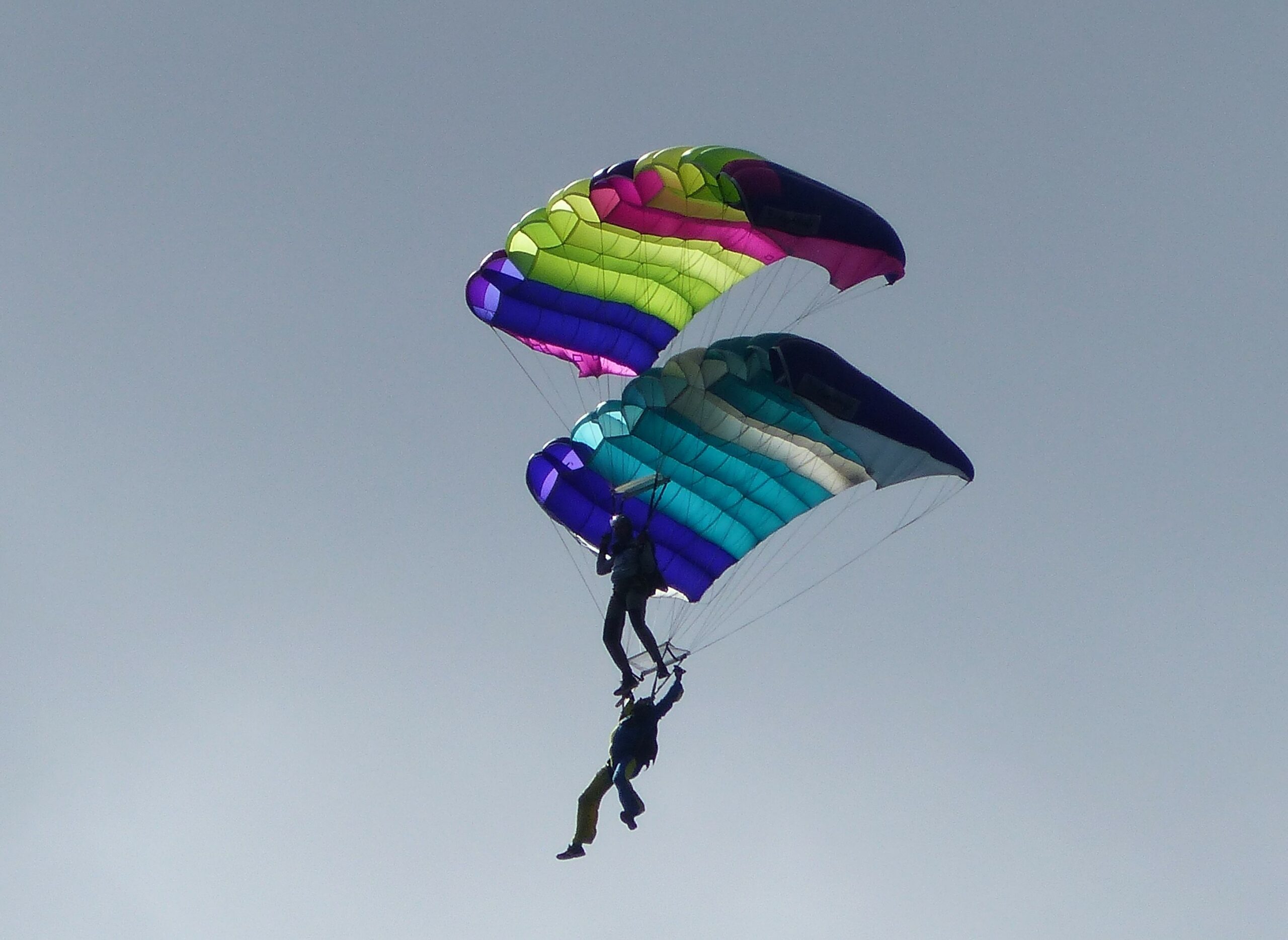 Canopy Formation Camp - 16-18 aug - Skydive Stockholm